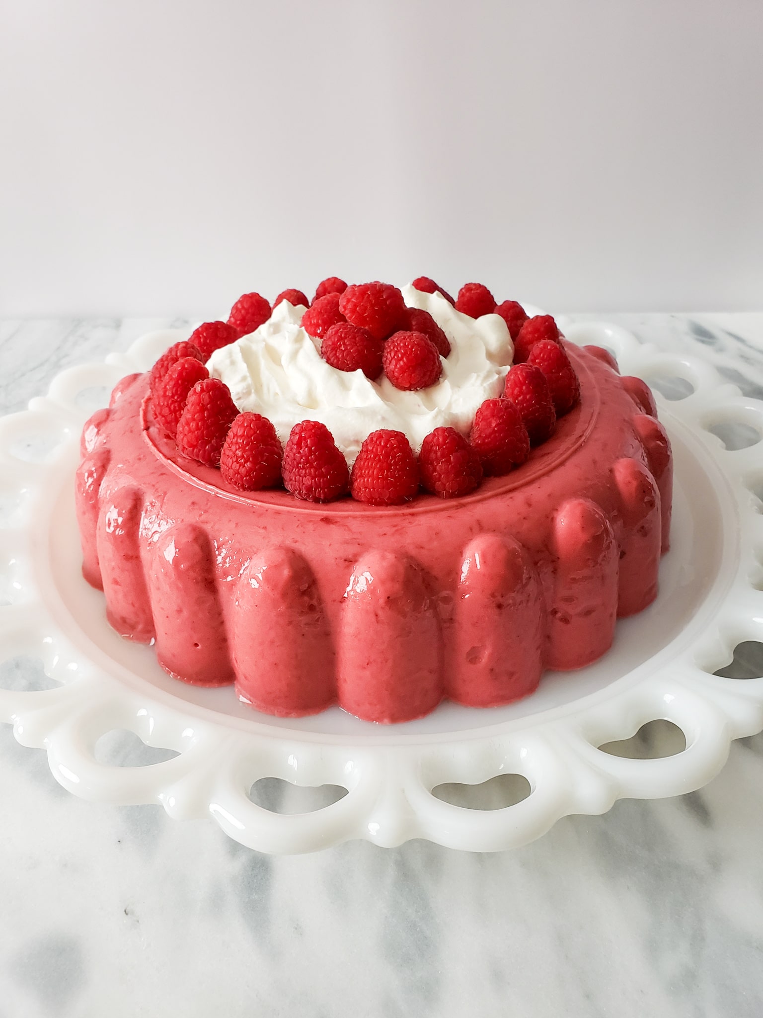 Dreamy Raspberry Cranberry Jello Salad Mold - Brass Pine