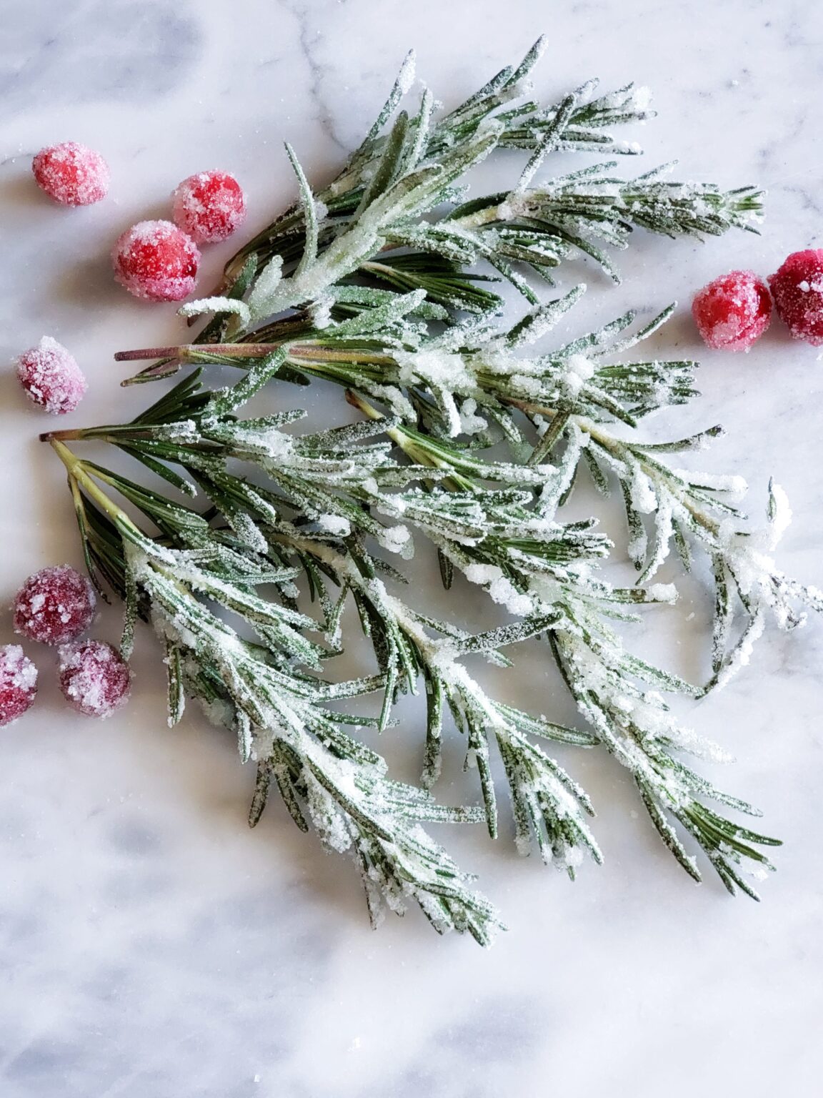 Sugared Rosemary: The Prettiest Little Garnish - Brass Pine